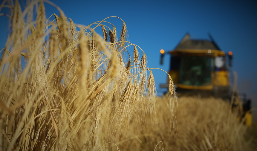 ARPA HASADI BAŞLADI - BATMAN ÇAĞDAŞ GAZETESİ
