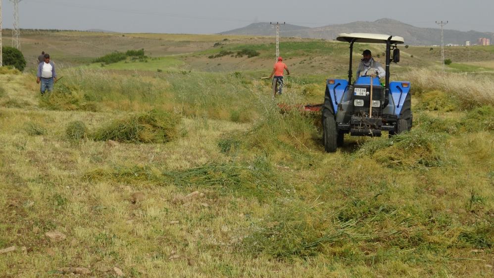 Mercimek çiftçinin yüzünü güldürdü - Batman Haber, Son Dakika - Batman ...