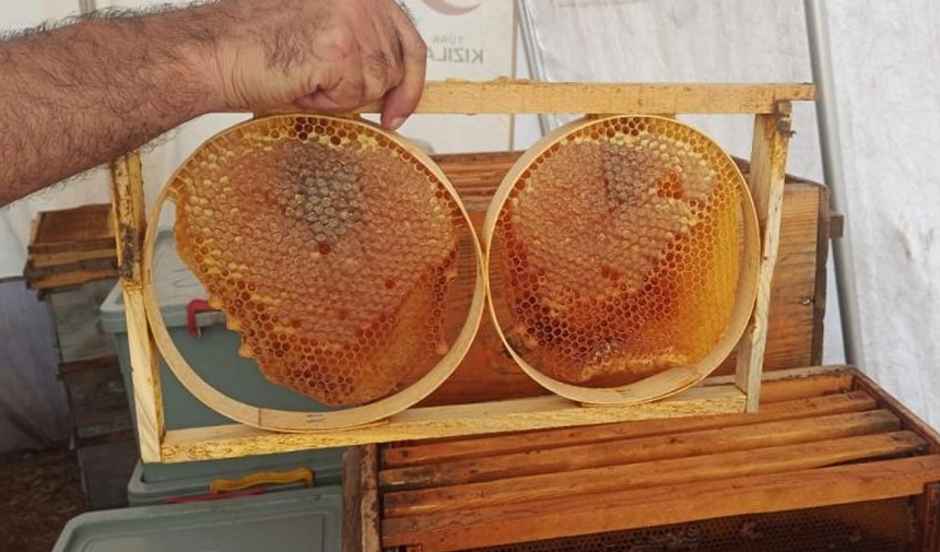 Adıyaman'da bal sağımı yapılıyor - Batman Haber, Son Dakika - Batman ...