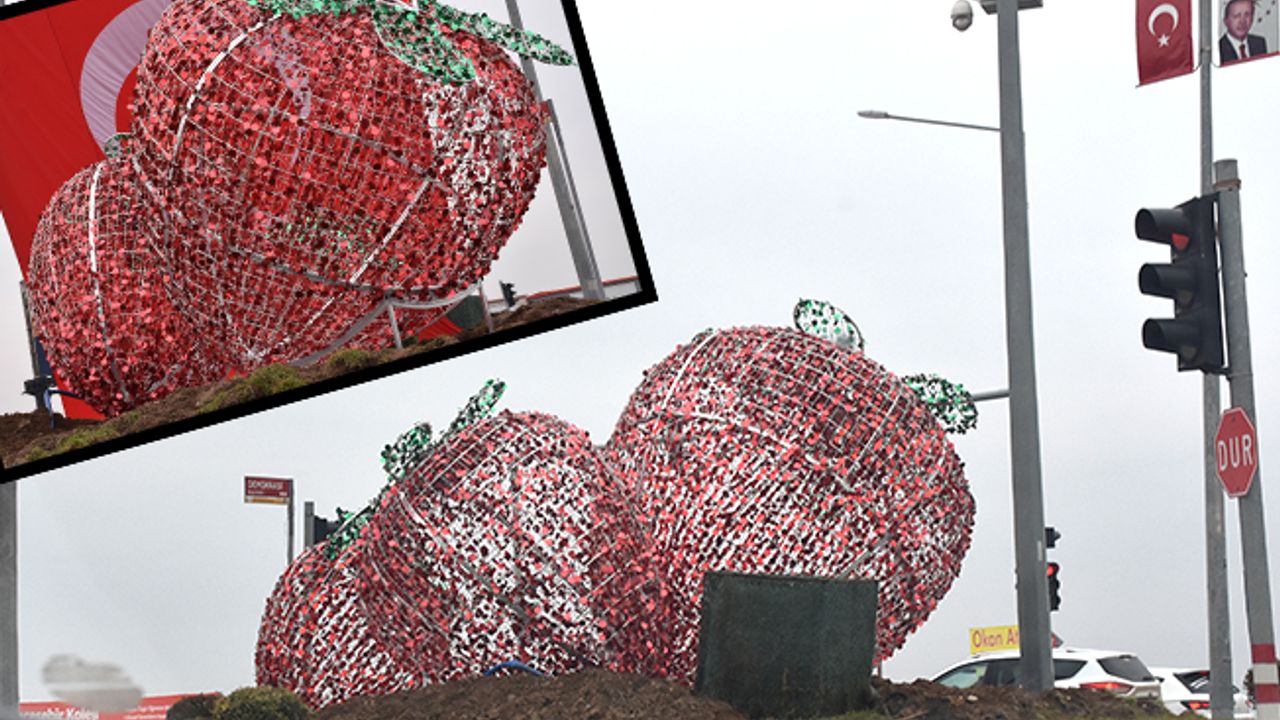 HAVA LİMANI KAVŞAĞINA ÇİLEK FİGÜRÜ - Batman Haber, Son Dakika - Batman ...