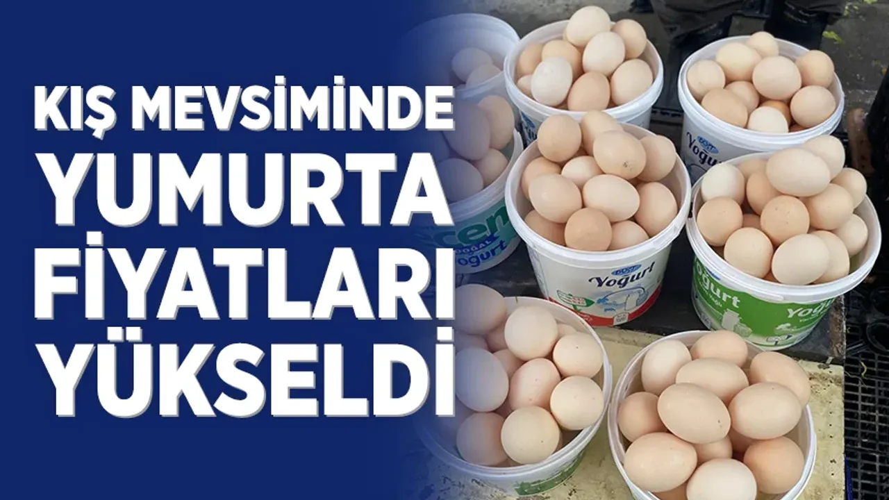 Yumurtada şok artış - Batman Haber, Son Dakika - Batman Çağdaş Gazetesi